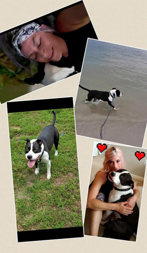 Roscoe – Underhound Railroad